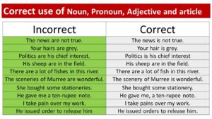 Correct use of Noun, Pronoun, Adjective and Article - Vocabulary Point