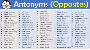 List of Synonyms and Antonyms