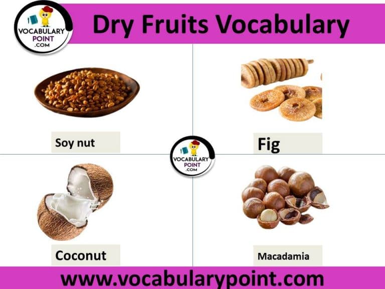 All dry fruits name with picture | Download PDF - Vocabulary Point