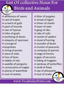 List Of Collective Noun For Animals And Birds (Mammals, Reptiles ...