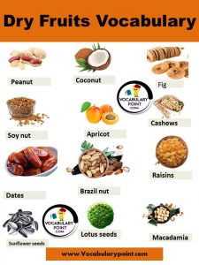 Learn Vocabulary Words With Pictures (All Vocabulary) - Vocabulary Point