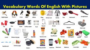 Learn Vocabulary Words With Pictures (All Vocabulary) - Vocabulary Point