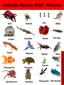 Popular Animal Names with Pictures | Download PDF - Vocabulary Point