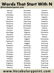 English Words That Start with N (Positive & Negative) - Vocabulary Point