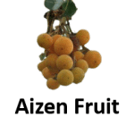 Fruits Starting with A (Properties and Pictures) - Vocabulary Point