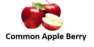 Fruits Starting with C (Properties and Pictures) - Vocabulary Point