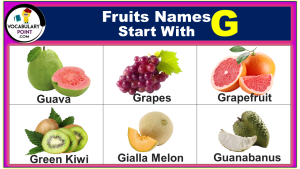 Fruits Starting with G (Properties and Pictures) - Vocabulary Point