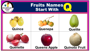Fruits Starting with Q (Properties and Pictures) - Vocabulary Point