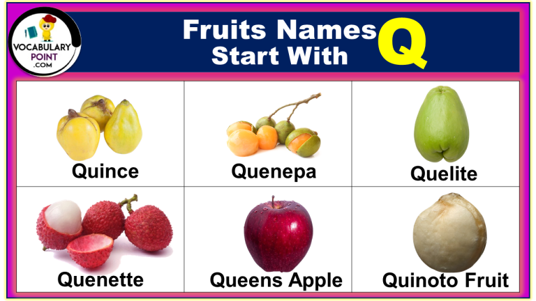 Fruits Starting with Q (Properties and Pictures) - Vocabulary Point