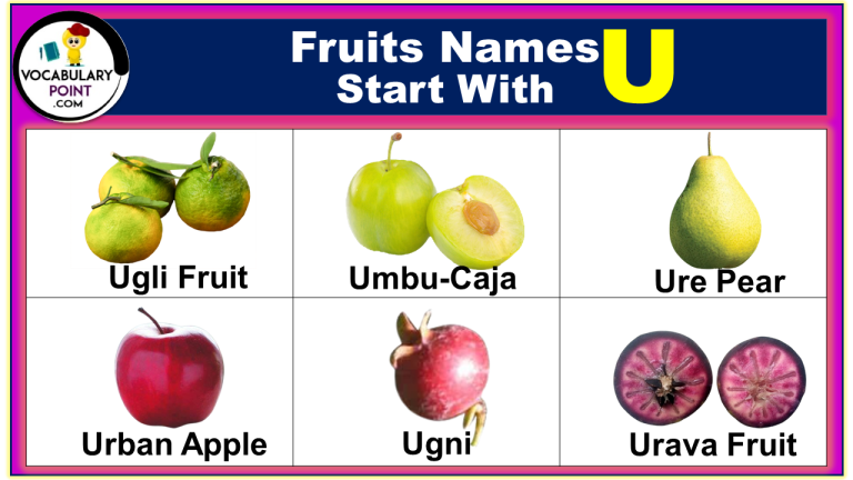Fruits Starting with U (Properties and Pictures) - Vocabulary Point