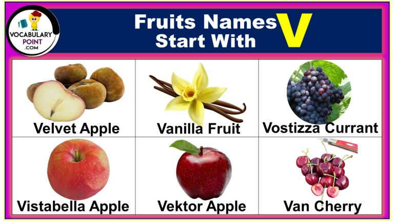 Fruits Starting with V (Properties and Pictures) - Vocabulary Point