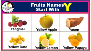 Fruits Starting with Y (Properties and Pictures) - Vocabulary Point