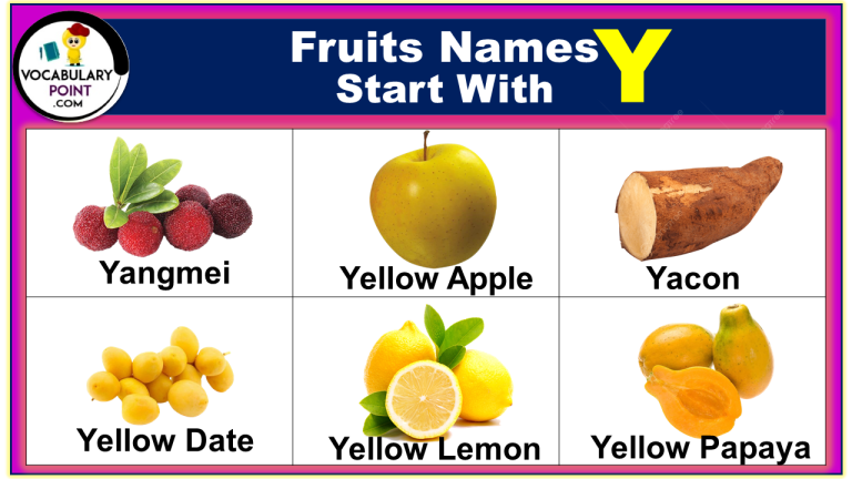 Fruits Starting with Y (Properties and Pictures) - Vocabulary Point