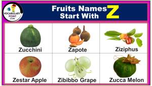 Fruits Starting with Z (Properties and Pictures) - Vocabulary Point
