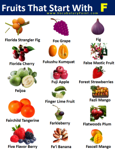 Fruits Starting with F (Properties and Pictures) - Vocabulary Point