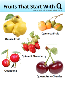 Fruits Starting with Q (Properties and Pictures) - Vocabulary Point
