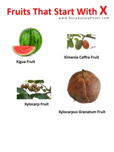 Fruits Starting with X (Properties and Pictures) - Vocabulary Point