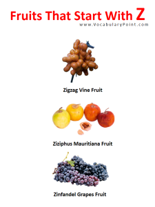 Fruits Starting with Z (Properties and Pictures) - Vocabulary Point