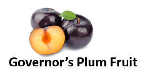 Fruits Starting with G (Properties and Pictures) - Vocabulary Point