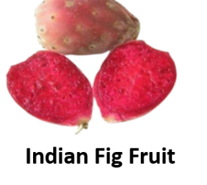 Fruits Starting with I (Properties and Pictures) - Vocabulary Point