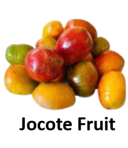 Fruits Starting with J (Properties and Pictures) - Vocabulary Point