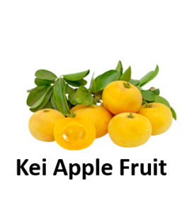 Fruits Starting with K (Properties and Pictures) - Vocabulary Point