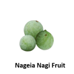 Fruits Starting with N (Properties and Pictures) - Vocabulary Point