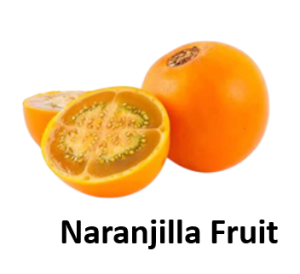 Fruits Starting with N (Properties and Pictures) - Vocabulary Point