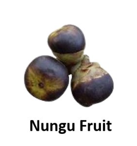 Fruits Starting with N (Properties and Pictures) - Vocabulary Point