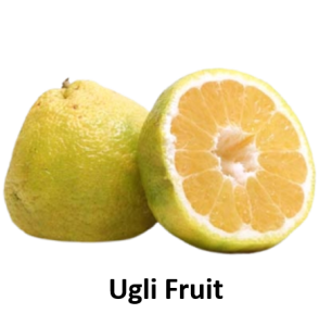 Fruits Starting with U (Properties and Pictures) - Vocabulary Point