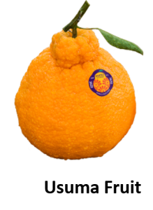 Fruits Starting with U (Properties and Pictures) - Vocabulary Point