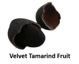 Fruits Starting with V (Properties and Pictures) - Vocabulary Point