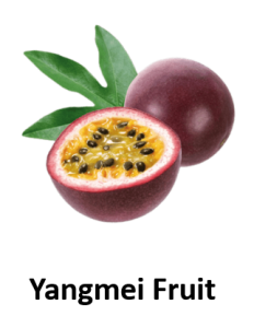 Fruits Starting with Y (Properties and Pictures) - Vocabulary Point