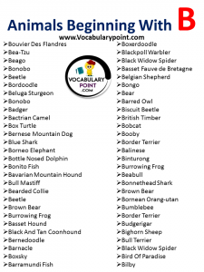 Animals that start with B - Vocabulary Point