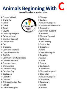 Animals that start with C - Vocabulary Point