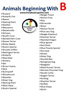Animals that start with B - Vocabulary Point