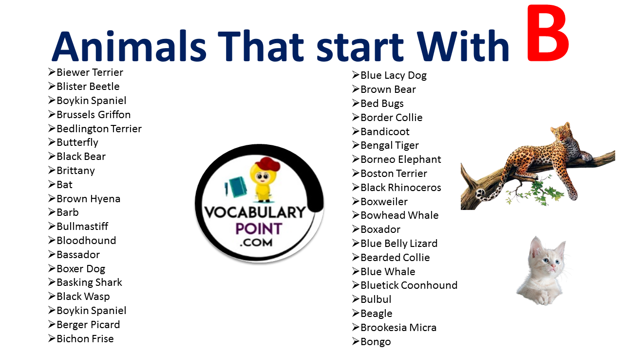Names Of Animals Start With B Archives VocabularyPoint