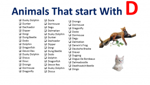 Animals that start with D - Vocabulary Point