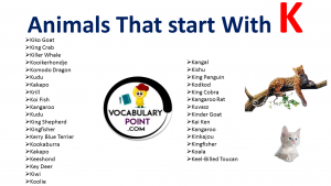 Animals that start with K - Vocabulary Point