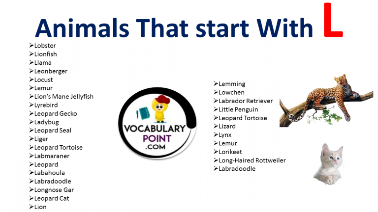 Animal Beginning With L Archives Vocabulary Point