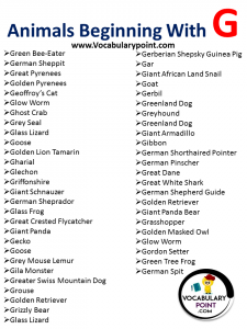 Animals that start with G - Vocabulary Point