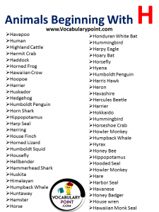 Animals that start with H - Vocabulary Point