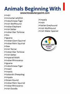 Animals that start with I - Vocabulary Point