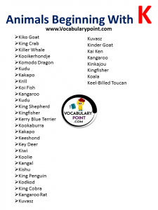 Animals that start with K - Vocabulary Point