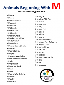 Animals that start with M - Vocabulary Point