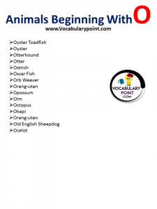 Animals that start with O | Names of Animals Beginning with O ...