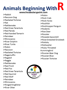 Animals that start with R - Vocabulary Point