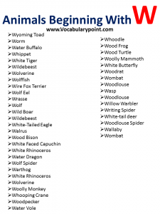 Animals that start with W - Vocabulary Point