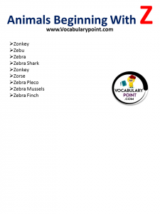 Animals that start with Z | Animals Beginning with Z - Vocabulary Point