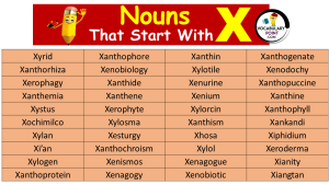 Nouns That Start With X - Vocabulary Point